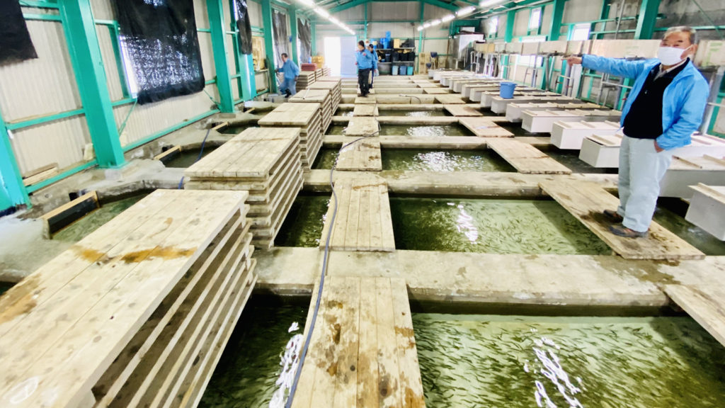 みんなの学校、川島小学校。 | かわしまconnect